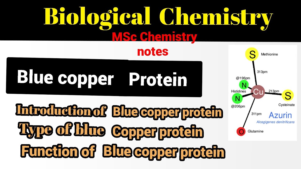 Blue copper protein # biological chemistry #blue copper protein # MSc ...