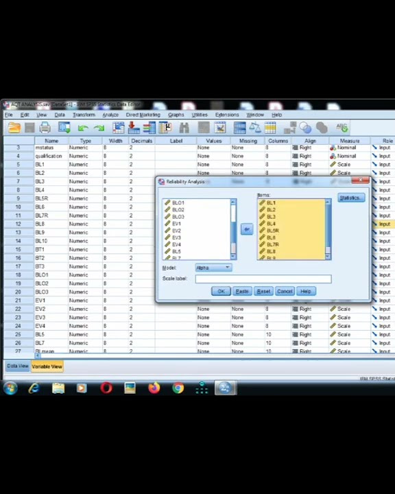 Reliability analysis in SPSS - YouTube