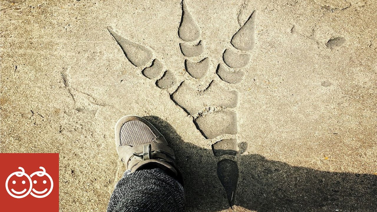 WHOSE FOOTPRINTS ARE THESE - Lesson 31 (Level A) - Learn English For Kids - YouTube