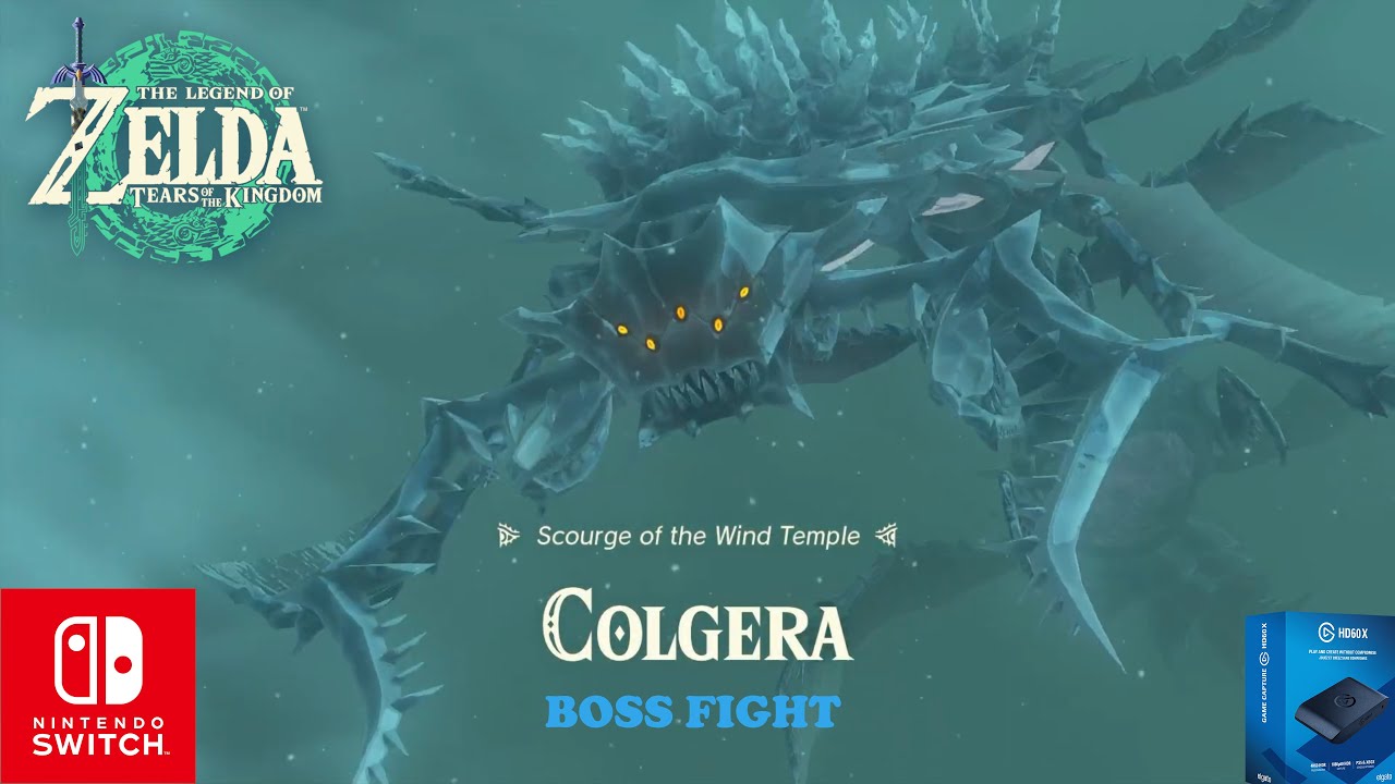 [Nintendo Switch] The Legend of Zelda: Tears of the Kingdom: Colgera ...