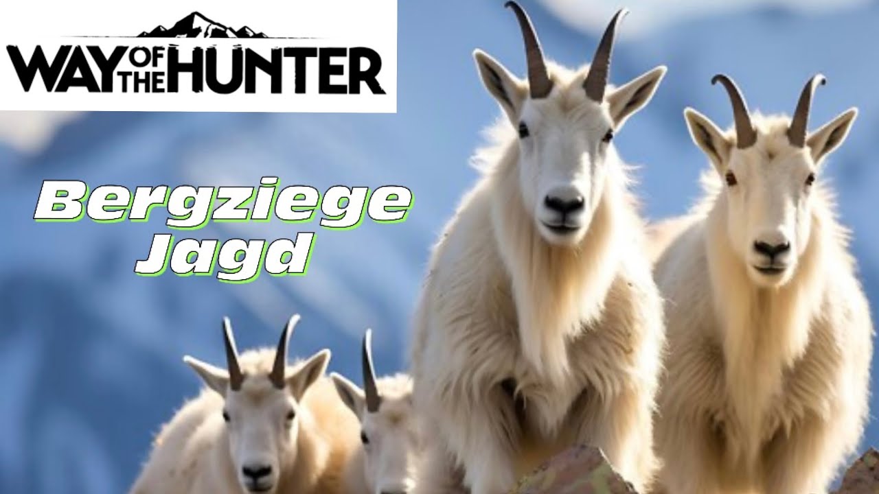 Way of the Hunter: Bergziege Jagd Schneeziege Mountain Goat Hunting PS5 ...