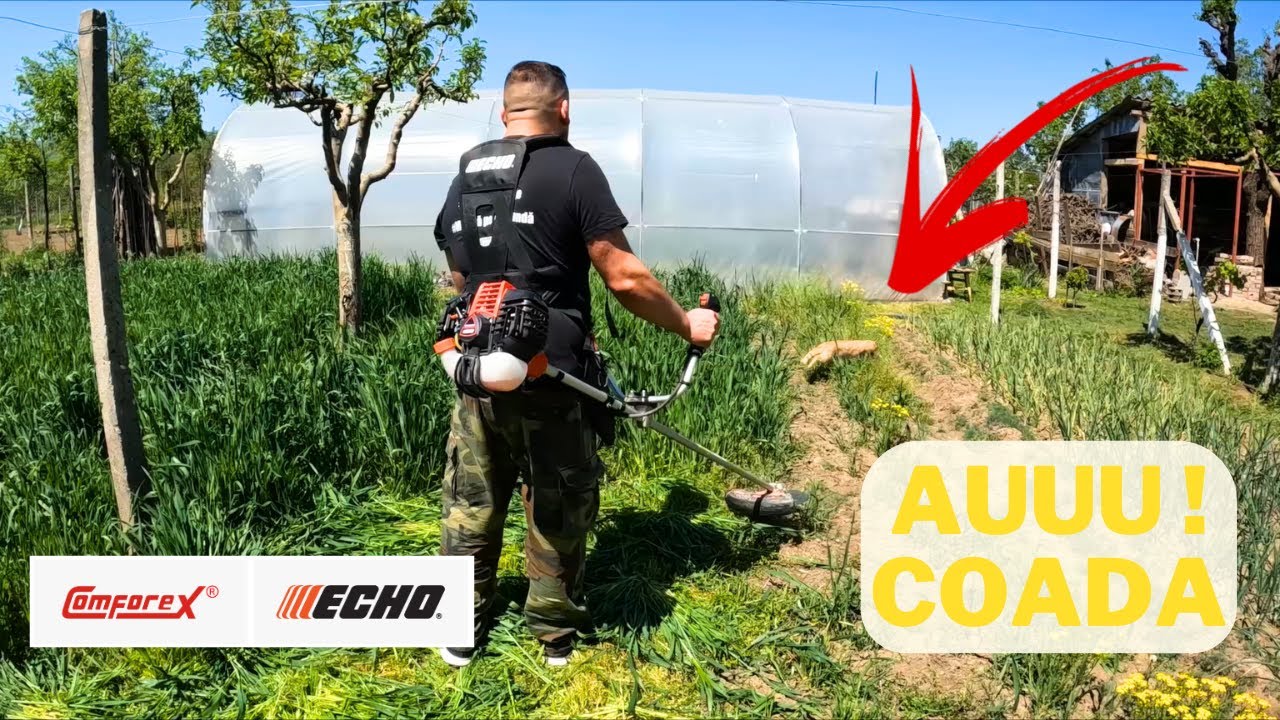 Cosim graul cu echo srm 2621TES Era sa tai pisica cu motocoasa ! - YouTube