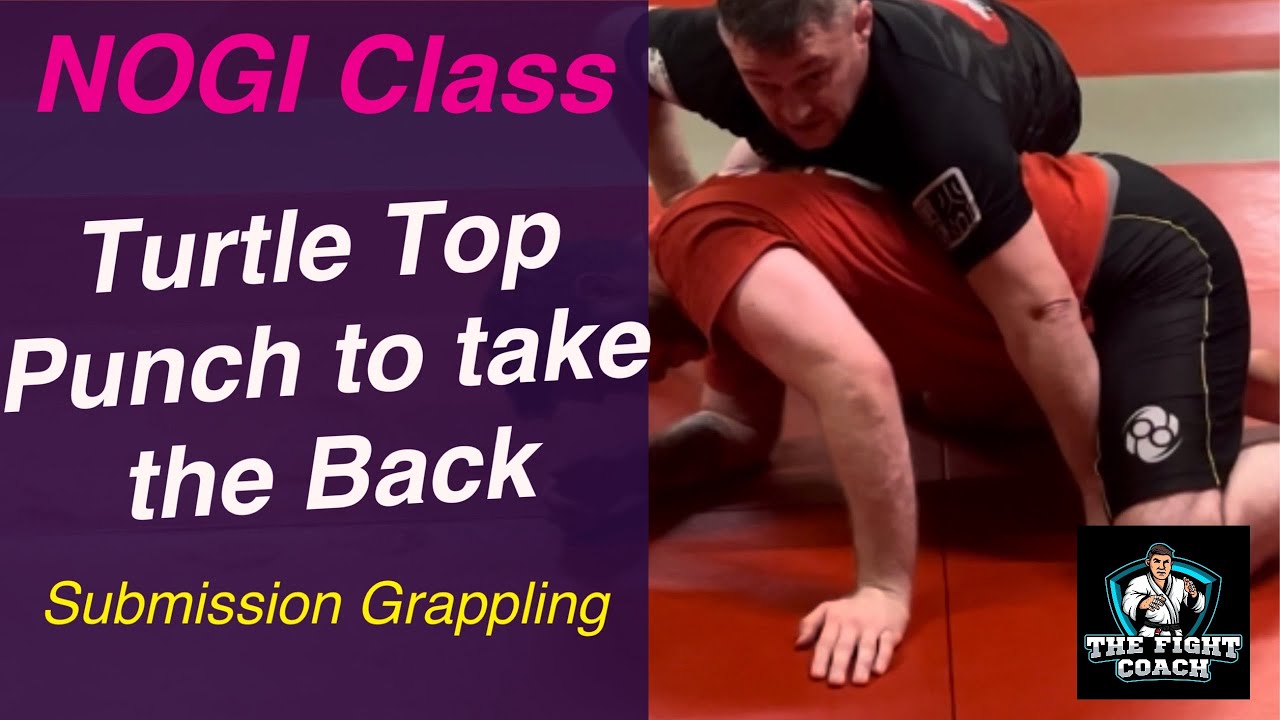 NOGI - Turtle Top - Punch to take the Back - YouTube