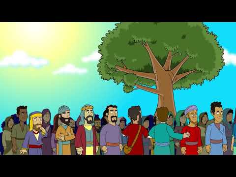 Jesús y Zaqueo - YouTube
