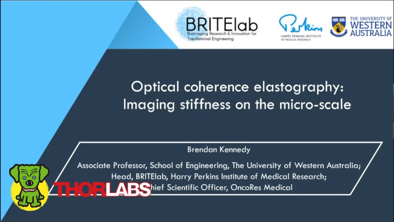 Optical Coherence Elastography: Imaging Stiffness on the Micro-Scale ...