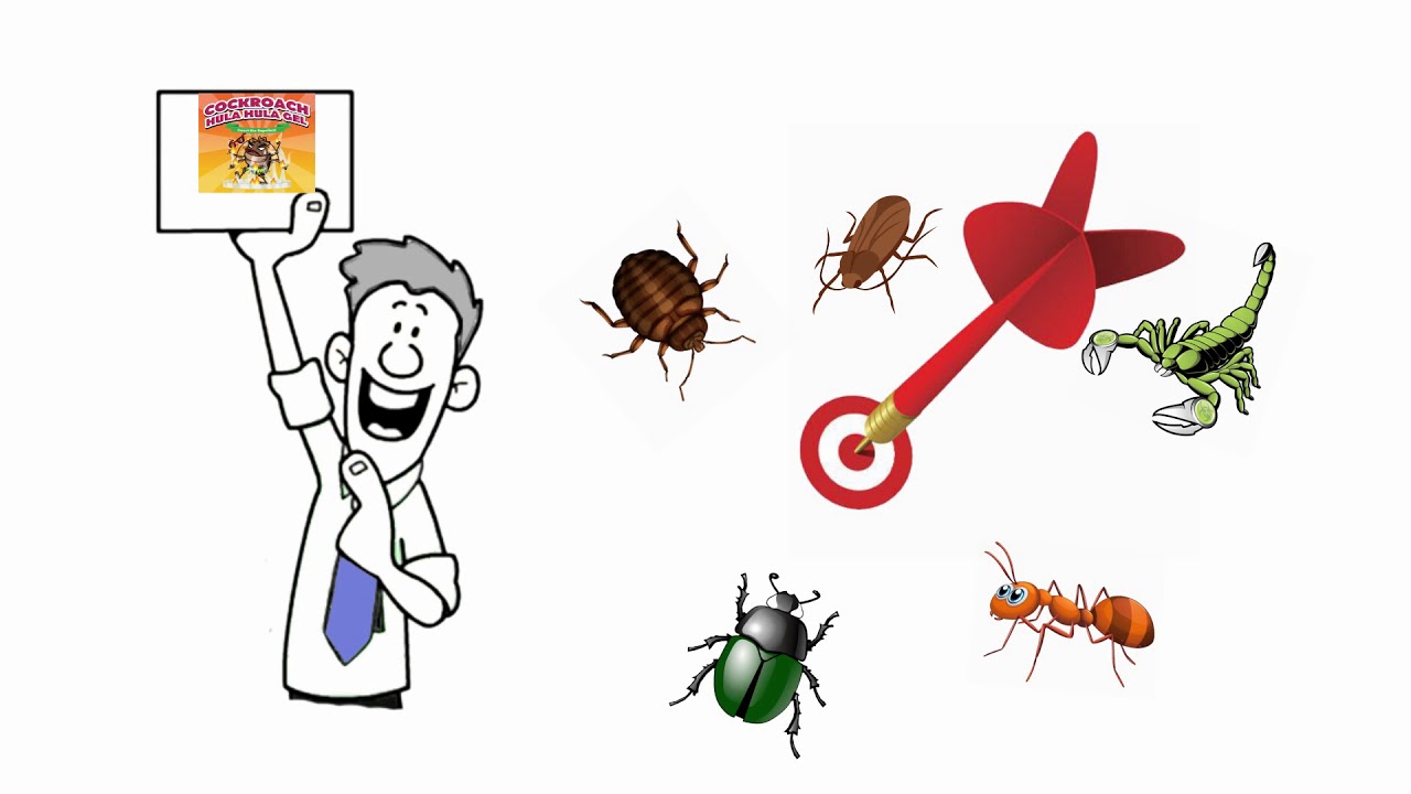 Cockroach Hula Hula Gel - Insect Bio-Repellent - YouTube