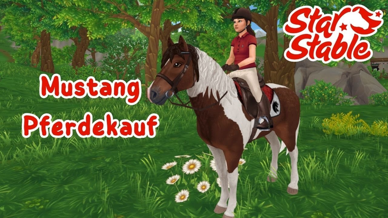 Der neue Mustang ist da 😍 | SSO | Mustang Pferdekauf - YouTube