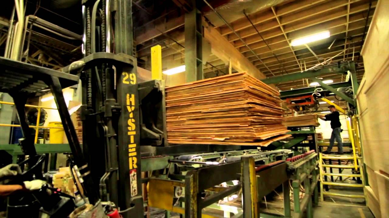 Columbia Forest Products - Product lifecycle from forest to completion ...
