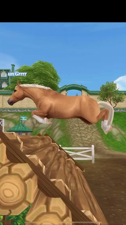 un Grrr😮‍💨 @StarStableOnline #ssoedit #sso #capcut #fyp - YouTube