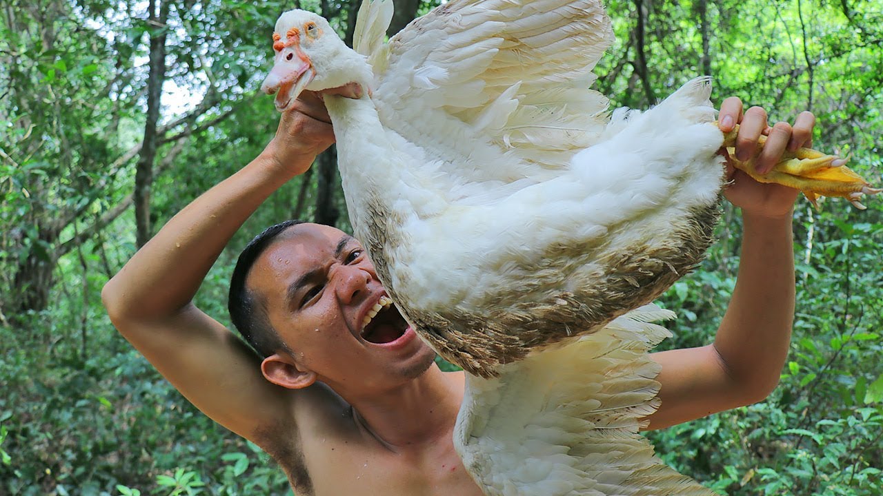 Found Wild Duck on River and Catch for Cooking in Forest - YouTube