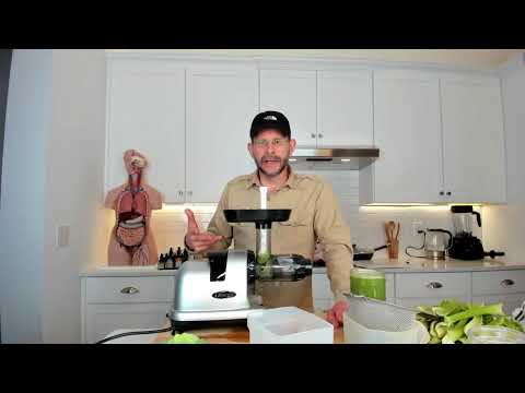 Learn The Right Way To Make Celery Juice & The Benefits