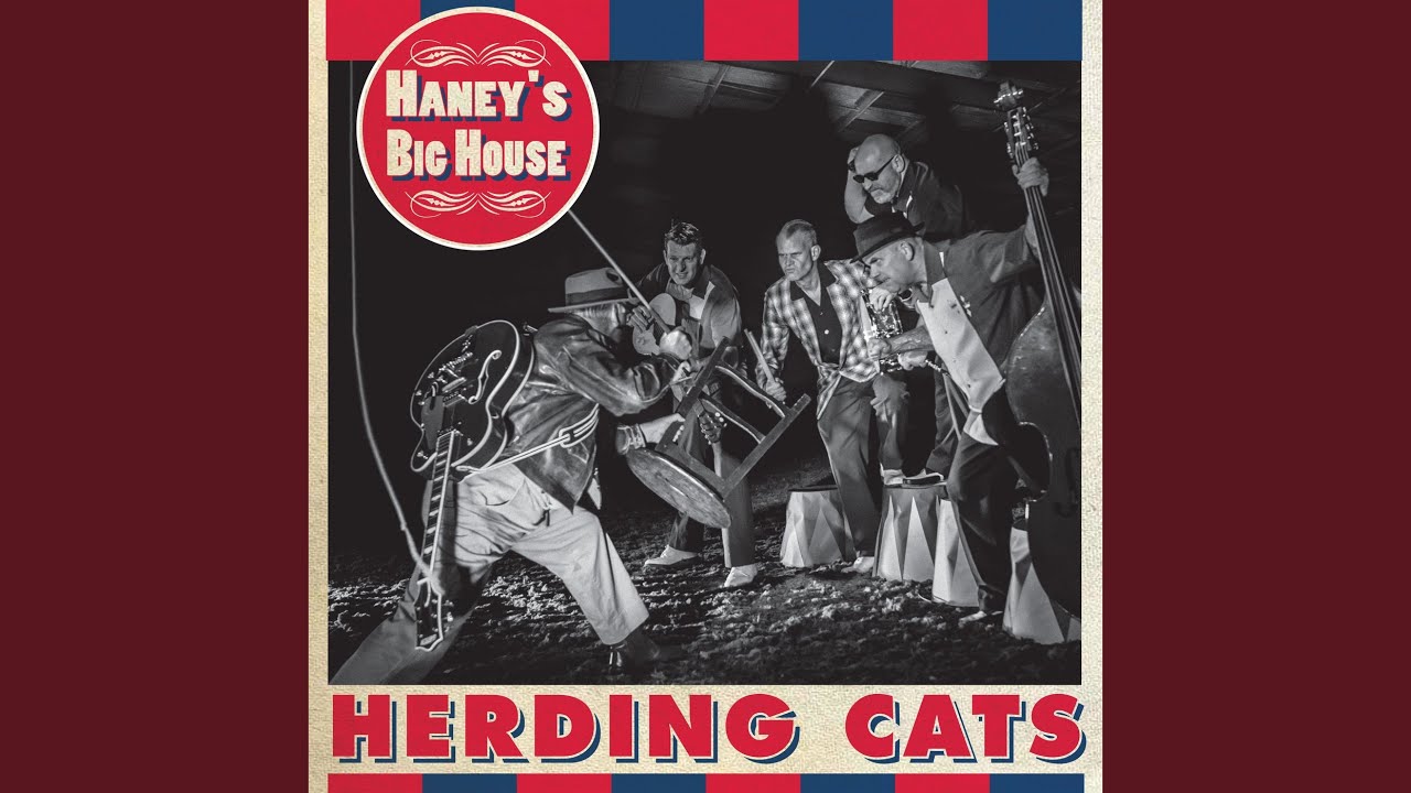 Herding Cats - YouTube