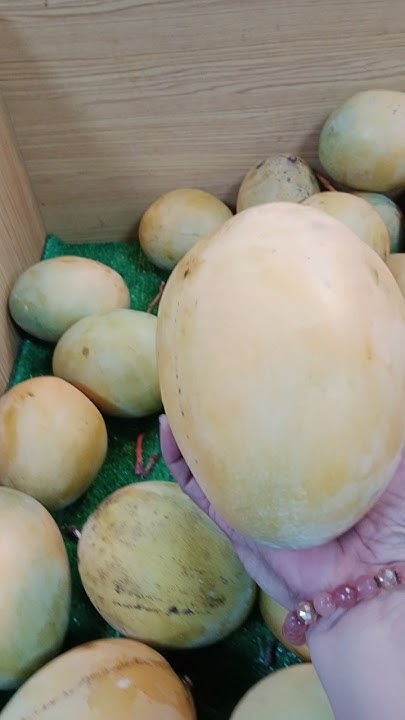 Big Mango woow #shorts #shortsvideo || Ate Vhenz - YouTube