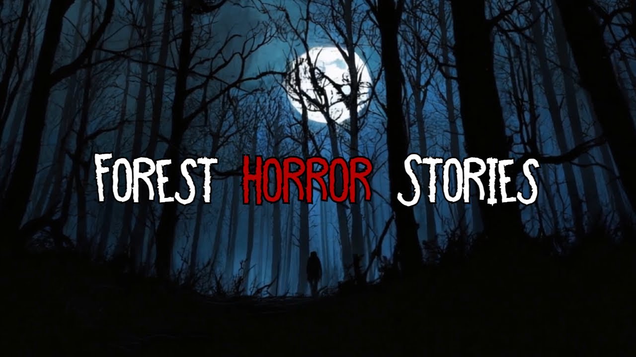 4 Most Disturbing TRUE Forest Horror Stories - YouTube