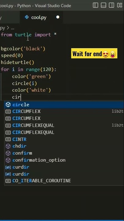 Cool Python Turtle Graphics 📊 Python Pythonprogramming Short Shorts Ytshorts Tiktok 