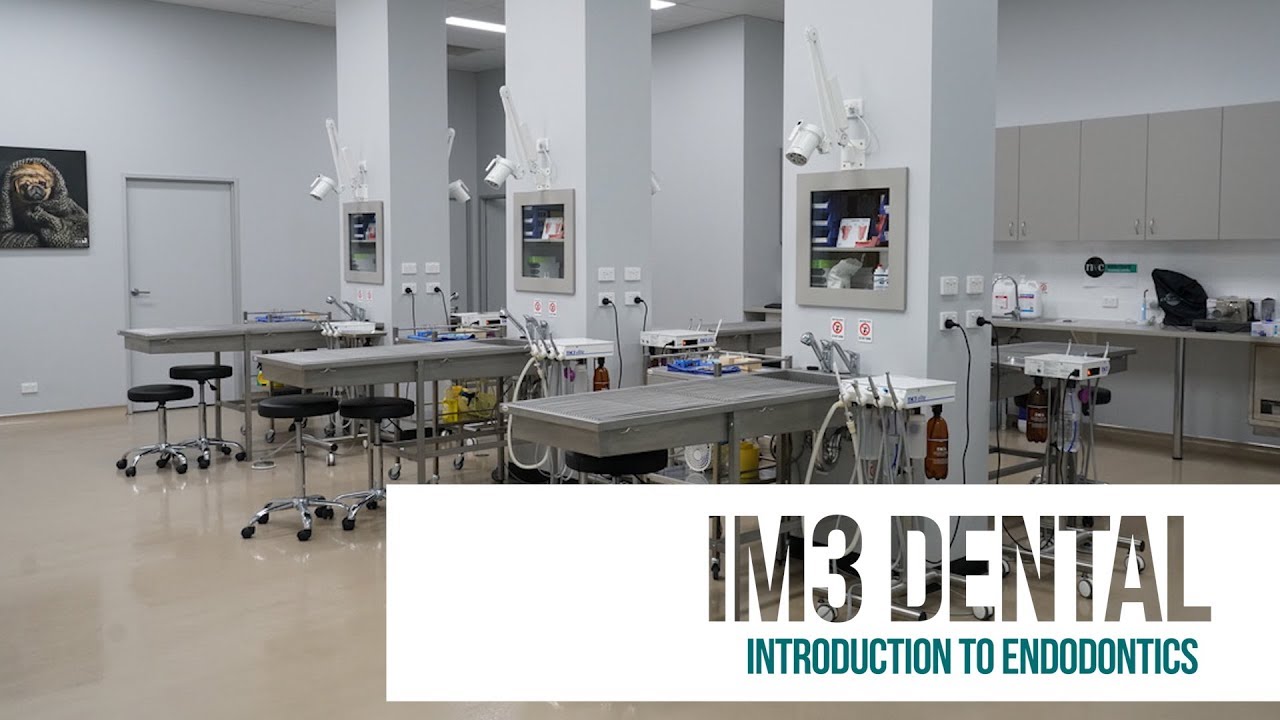 im3 introduction to endodontics workshop - YouTube