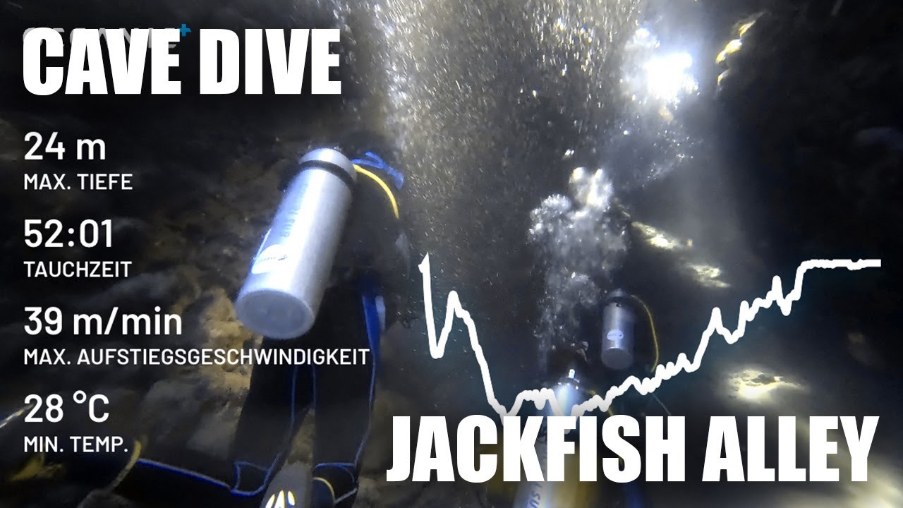 Jackfish Alley, Red Sea, Egypt - YouTube