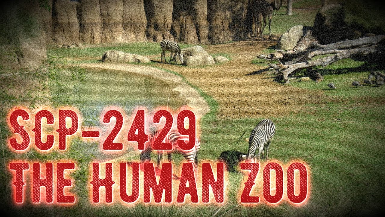 SCP-2429 - The Human Zoo - Euclid [The SCP Foundation] - YouTube