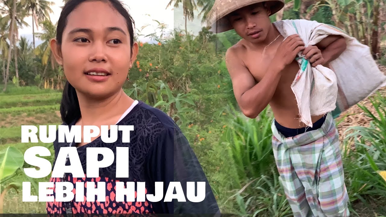 film pendek part 1 RUMPUT SAPI LEBIH HIJAU - YouTube