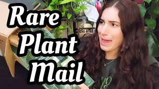 Collective Rare Plant Unboxing + How to Care for Your Plant Mail After You Get it 🌿