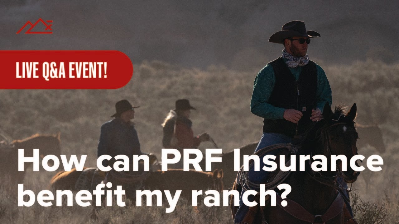 LIVE Q&A Session on PRF Insurance! | Coverage Enrollment Starts 9/1 ...