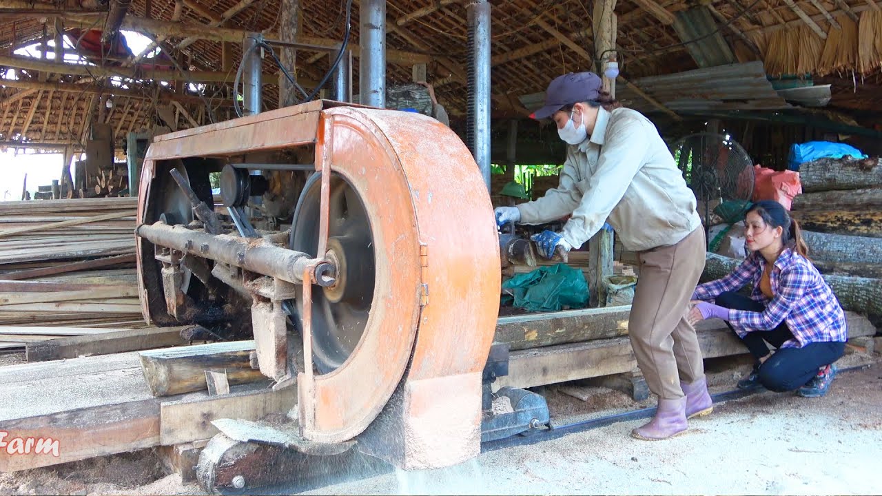 Wood transportation, big wood sawing machine, woodworking to prepare ...