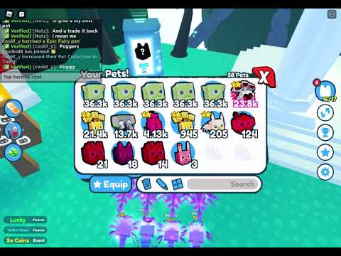 Getting 17 pets equip - YouTube