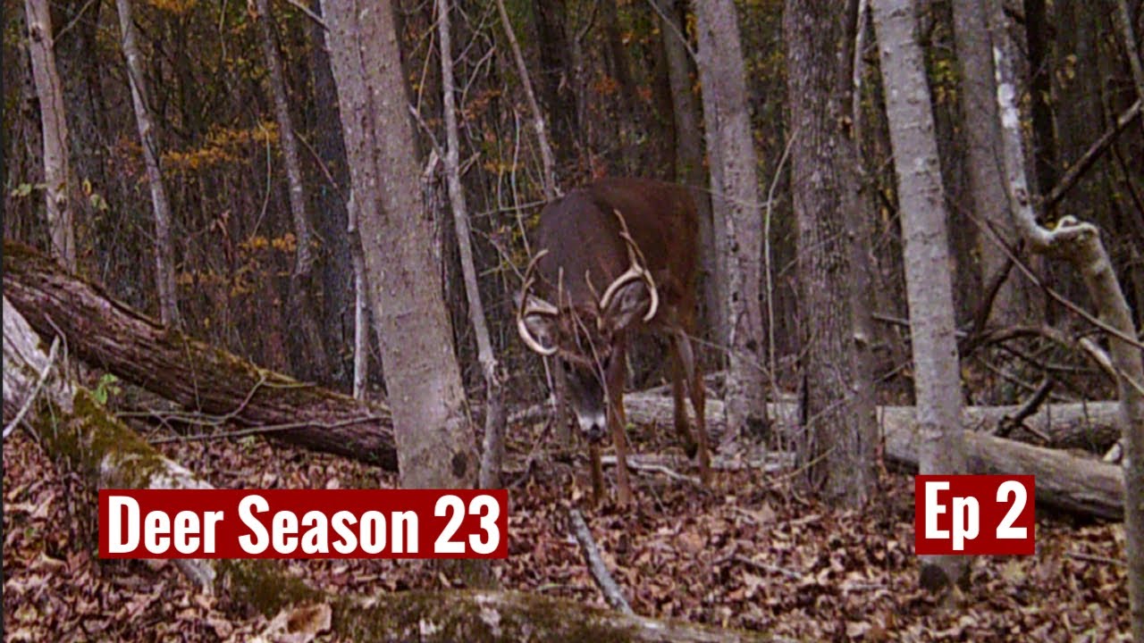 Deer hunting in a funnel. #deerhunting #bowhunting ...