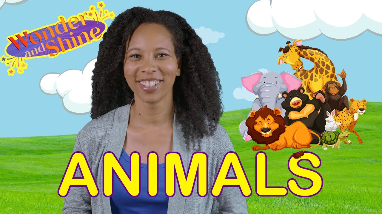 Discover the wonders of animal life! 🐸 Wonder and Shine with Dennisha ...