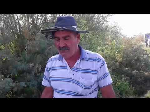 Ucar rayon Qazyan kənd  sakinləri susuzluqdan və yolsuzluqdan dad edirlər