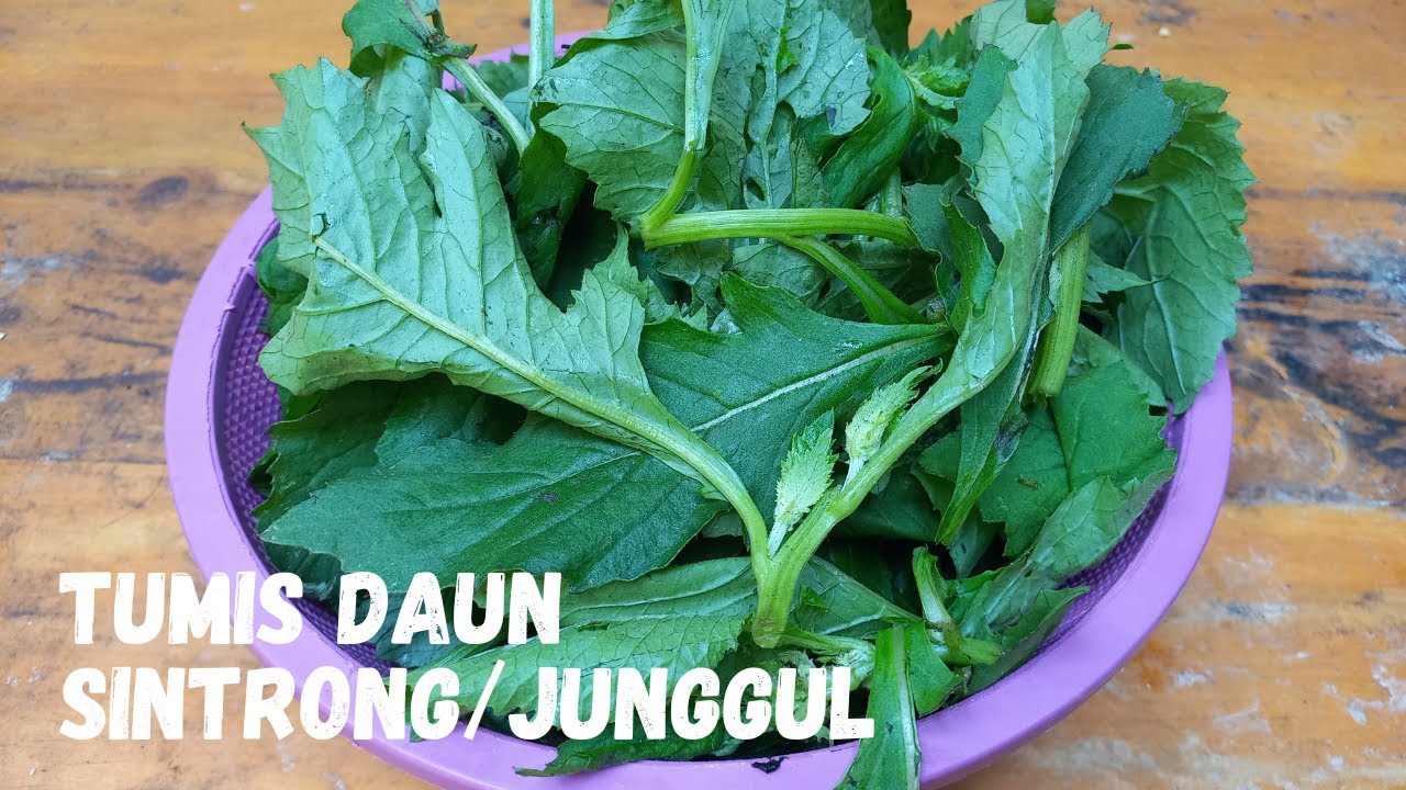 RESEP TUMIS DAUN SINTRONG - DAUN JUNGGUL- - YouTube
