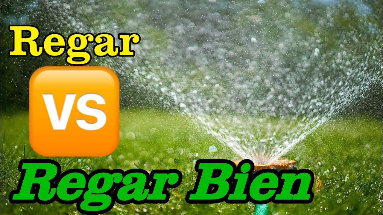 Cómo regar Correctamente - YouTube