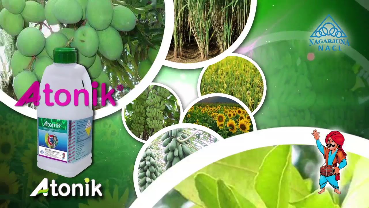 ATONIK Sodium Para-Nitrophenolate 0.3% SL: Boost Your Crops with the ...