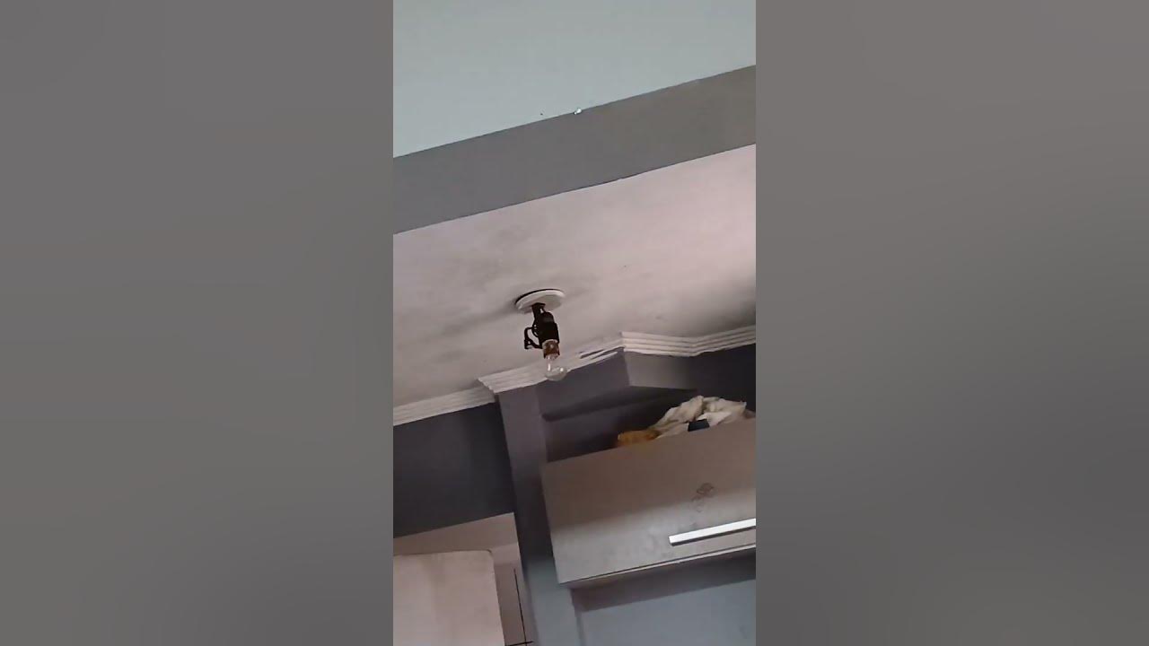 13 de dezembro de 2024 - YouTube