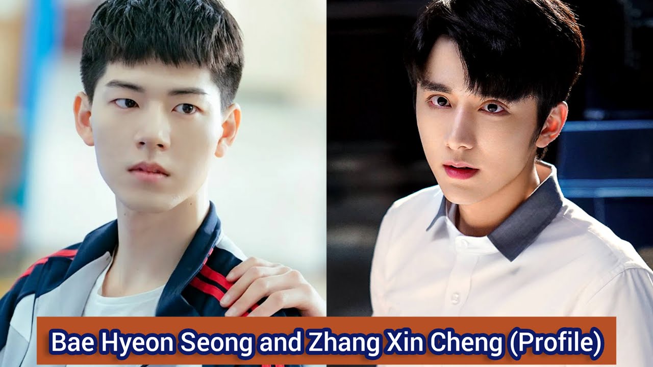 Zhang Xin Cheng (Go Ahead) and Bae Hyeon Seong (Family by Choice ...