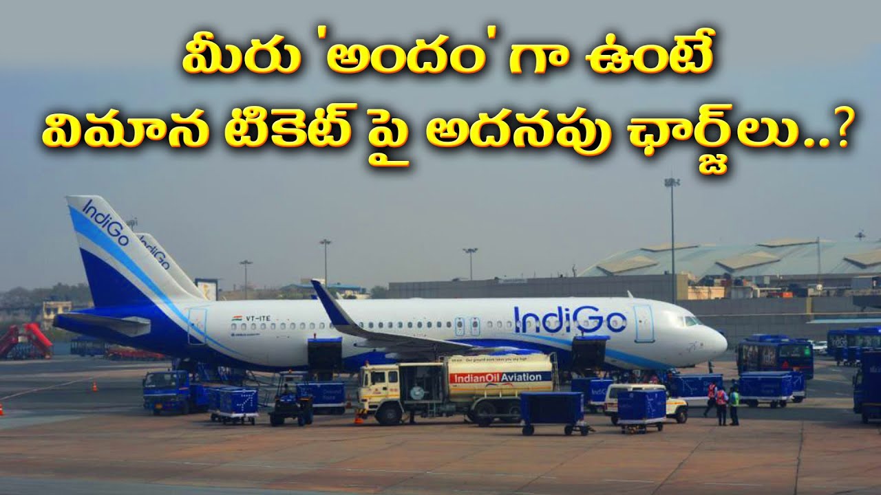 Indigo Airlines Charges Cute Fee From Passengers | Airlines Charges ...