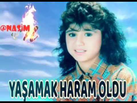 Ceylan yaşamak haram oldu