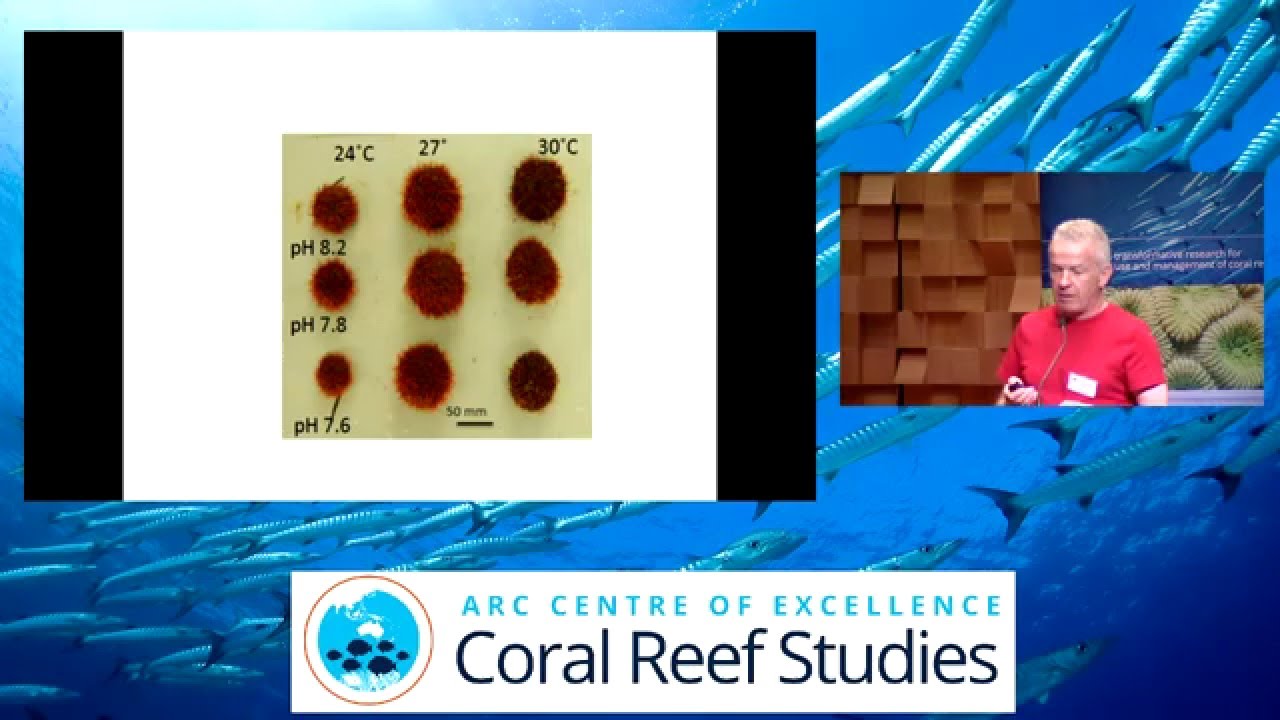 Philip Boyd - Beyond ocean acidification: phytoplankton responses to ...
