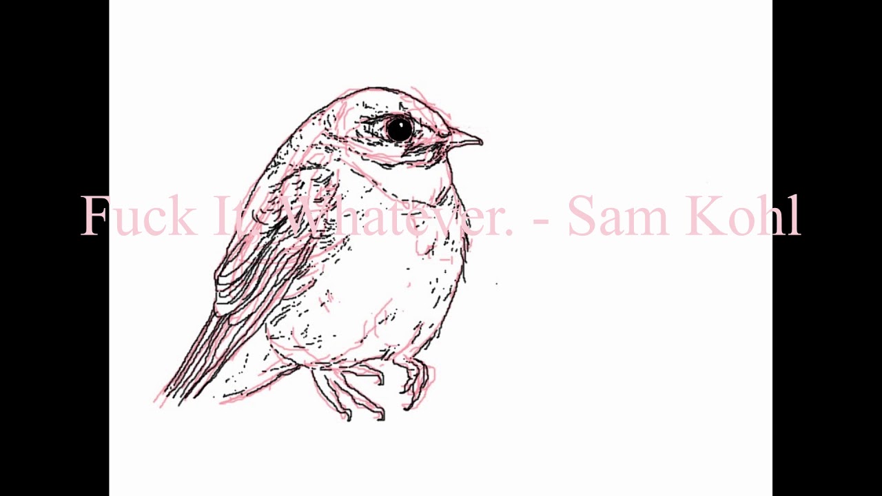 Fuck It, Whatever. - Sam Kohl - YouTube