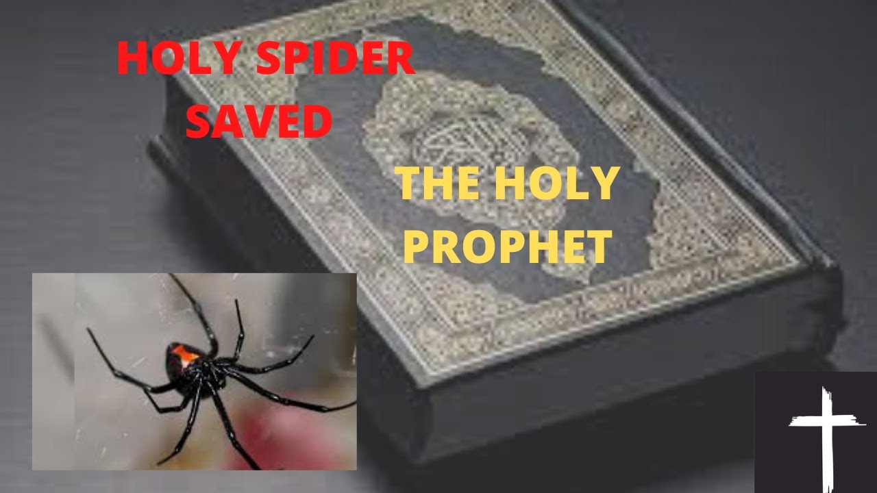 The holy spider saving the holy Prophet Muhammad Legends of the Jews V ...