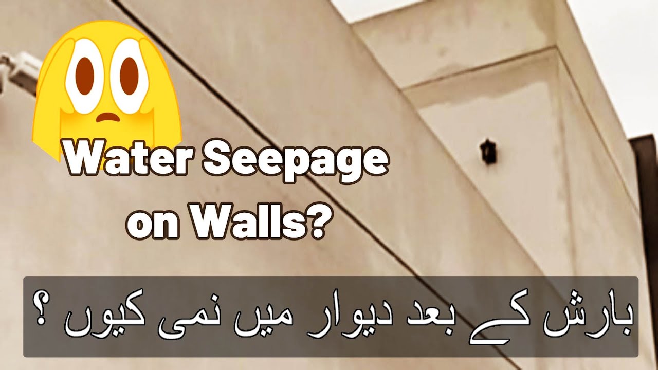 During rains why there is water seepage in walls? Construction Faults ...