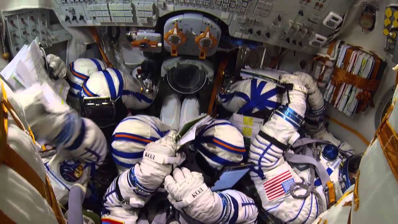 10 to 1: Bugs Win in NASA Study, One-Year Mission Video Miniseries ...