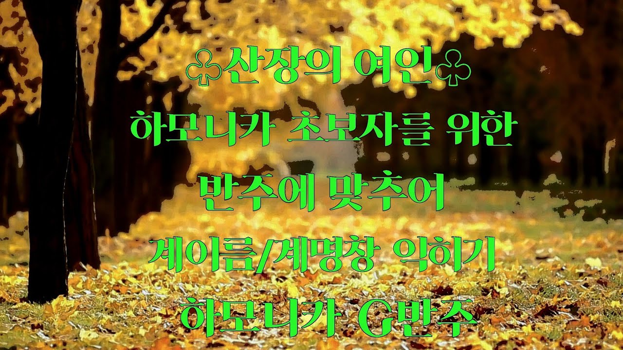♧산장의여인♧하모니카 초보자를 위한 반주에 맞추어 계이름 계명창 익히기 하모니카 G반주 Youtube