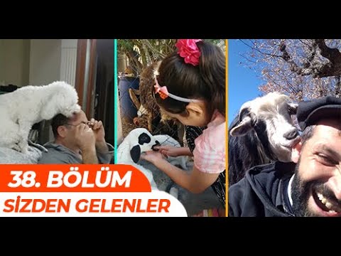 Sizden Gelenler 38. Bölüm | Çek - Gönder - Tv'de İzle