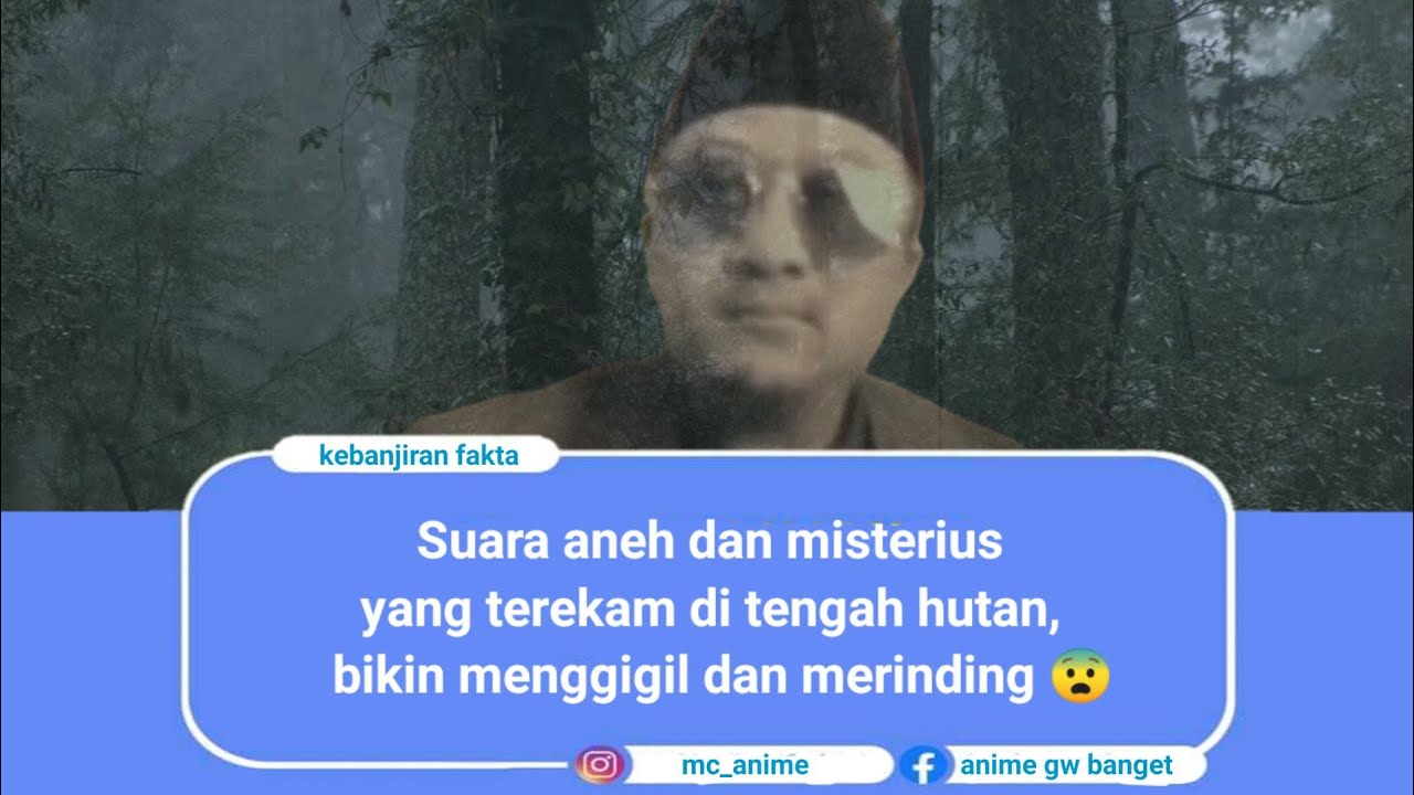 SUARA MENYERAMKAN DI TENGAH HUTAN BIKIN MERINDING (MEME) - YouTube