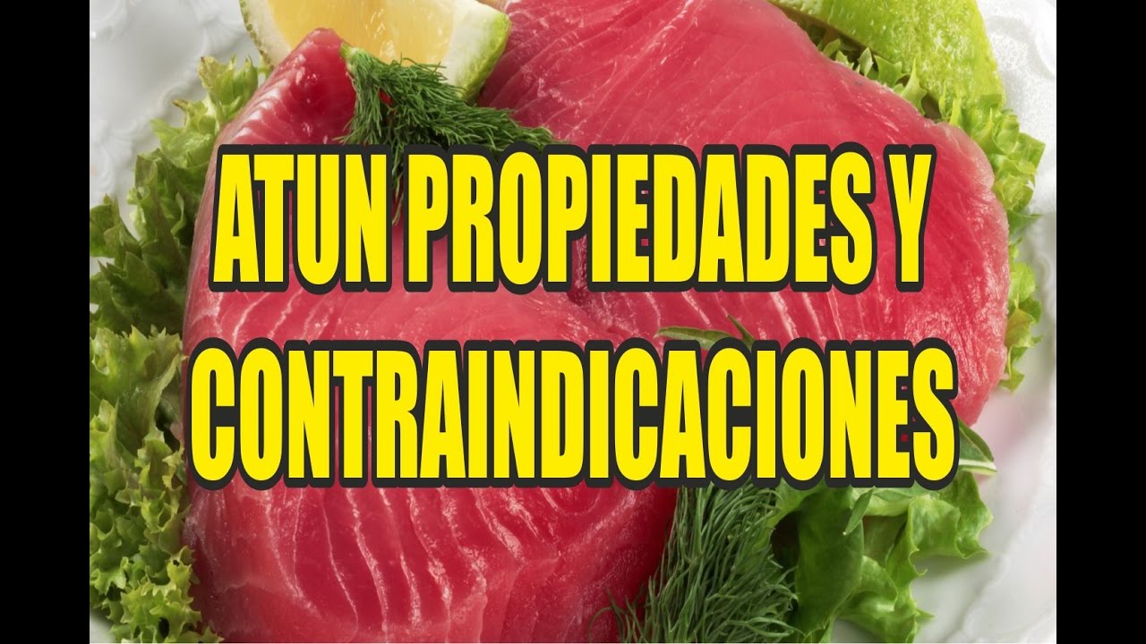 Atun Propiedades Y Contraindicaciones ENTERATE DE SUS VENTAJAS Y OBTEN ...