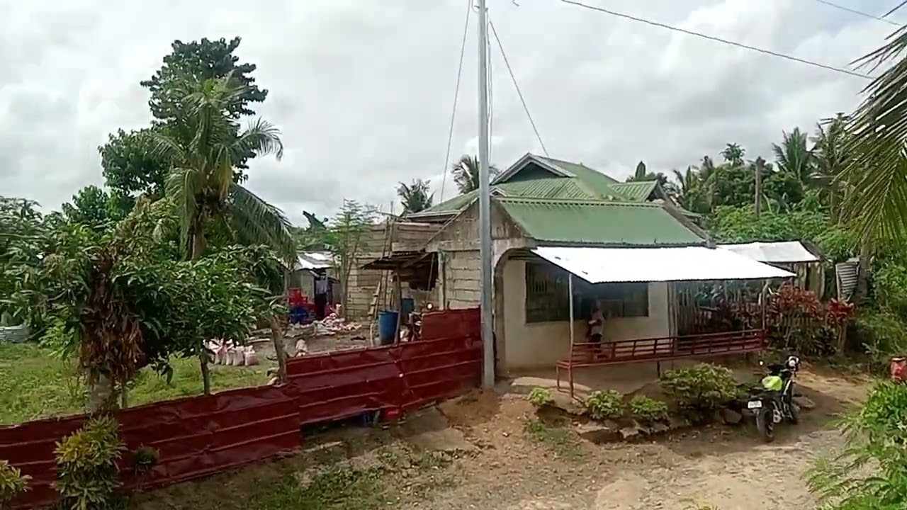 House and for sale in Getafe Bohol - YouTube