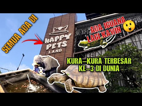HAPPY PETS LAND JOGLO TEMPAT WISATA DAN EDUKASI MENARIK SAAT PANDEMI ...