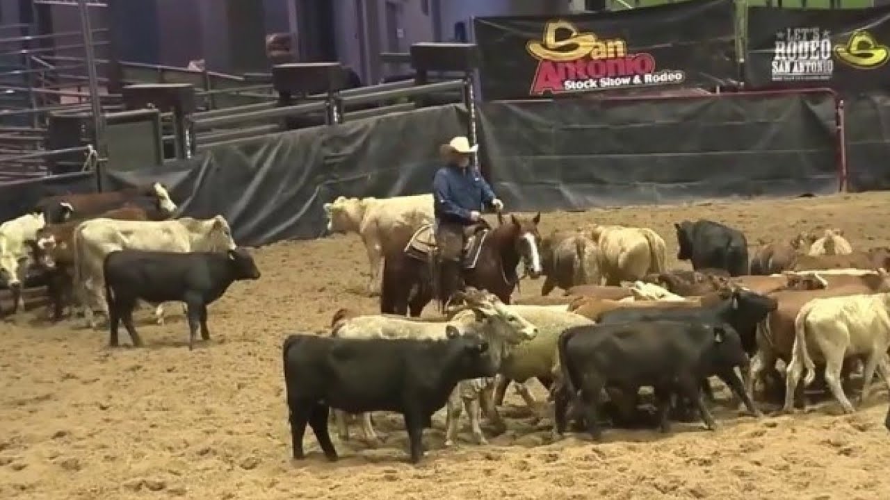 Cowboys, cowgirls show off ‘horse cutting’ routine at San Antonio Stock ...