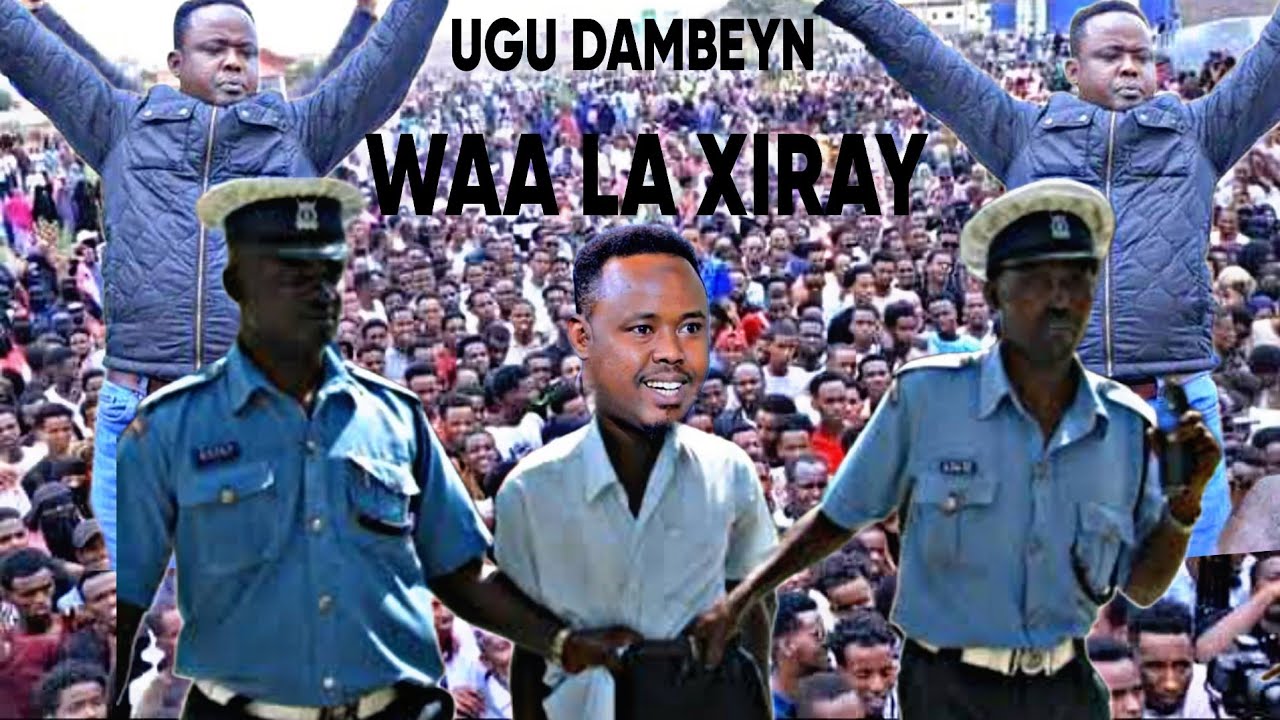 #Dawo SNM siday u Jir dileyso Xildhibaan Maxamad Abiib Ax,Dawo hadalka ...